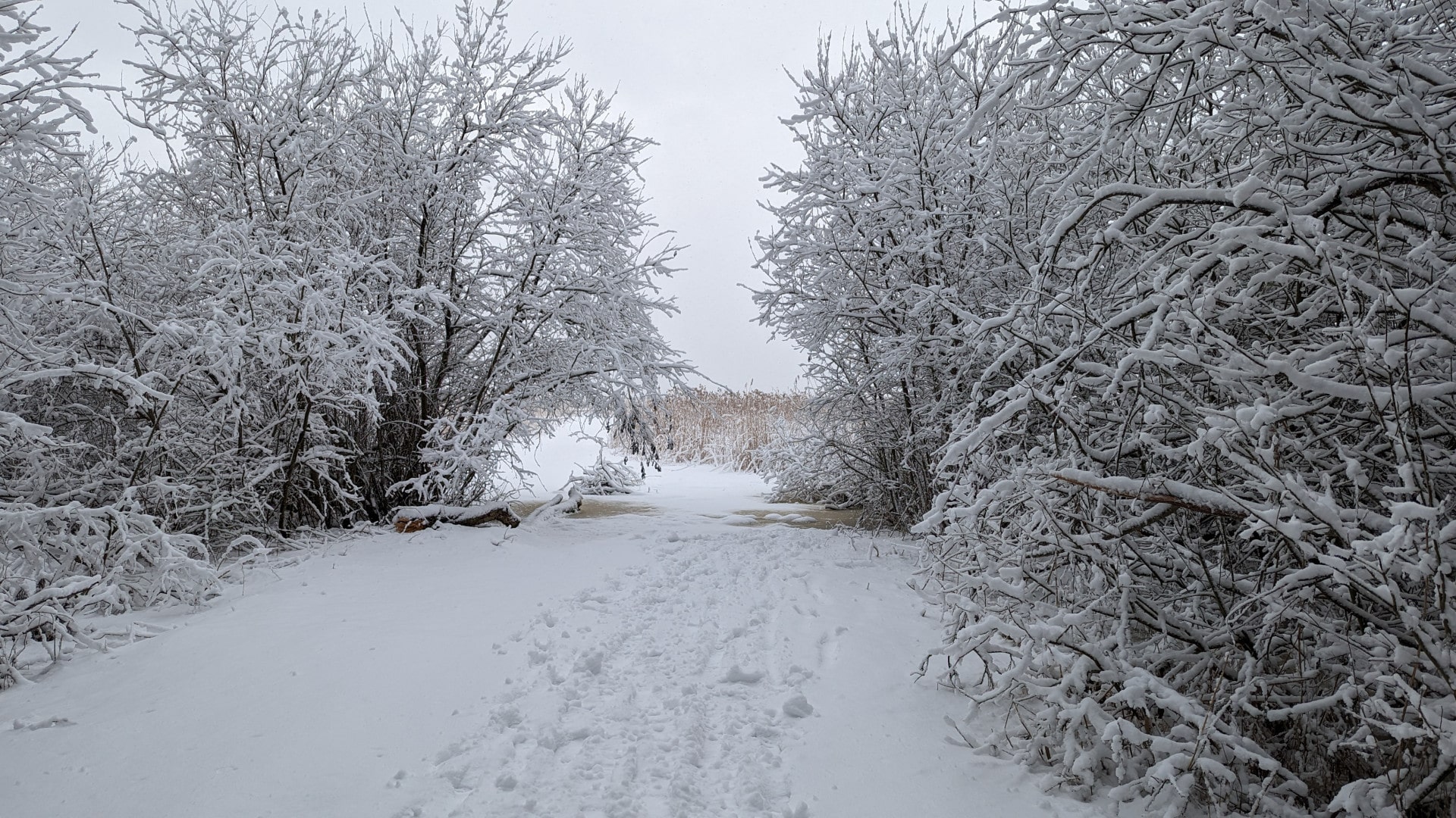 Engures dabas parks - Idejas brīvdienām