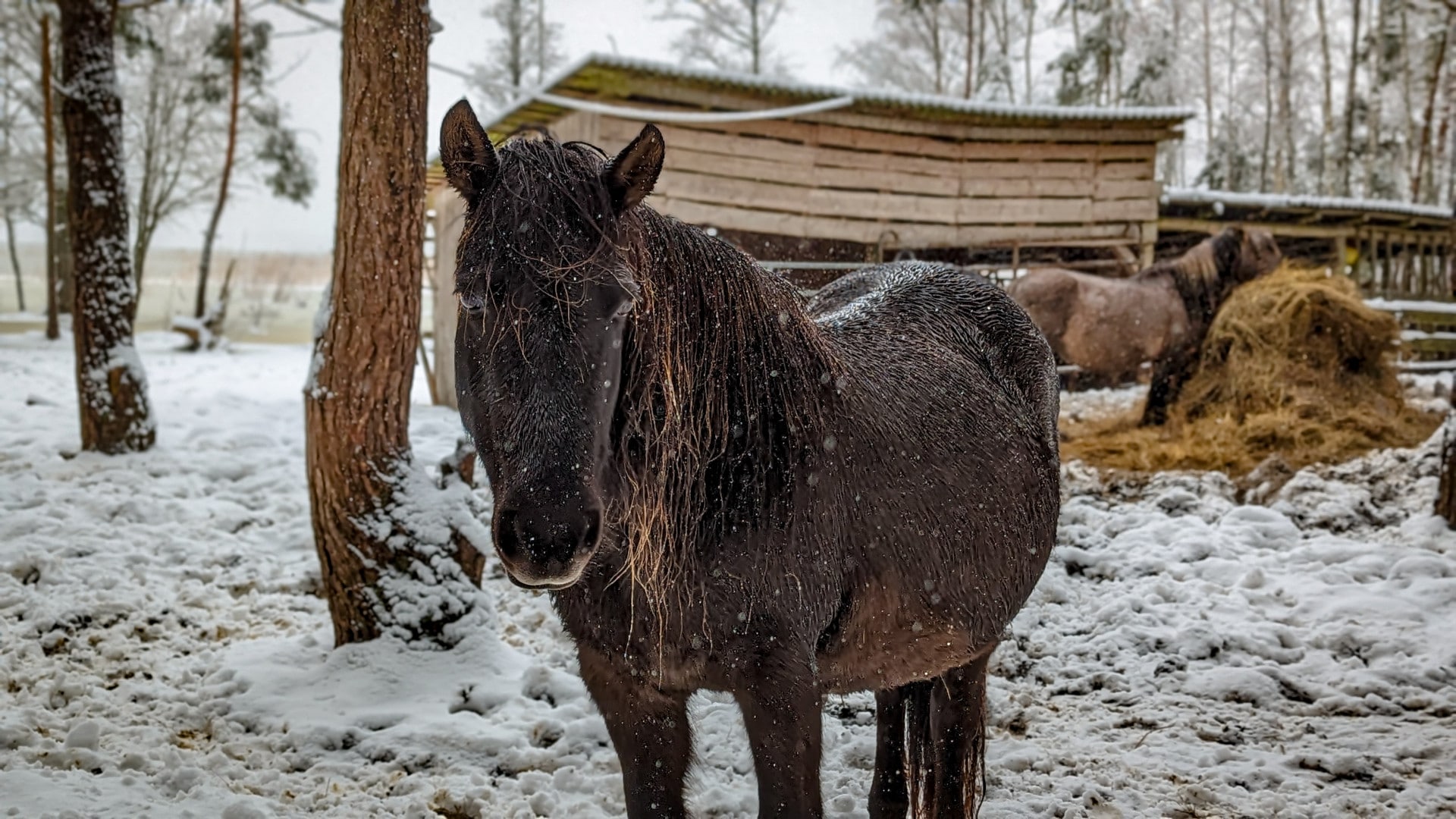 Engures dabas parks - Idejas brīvdienām
