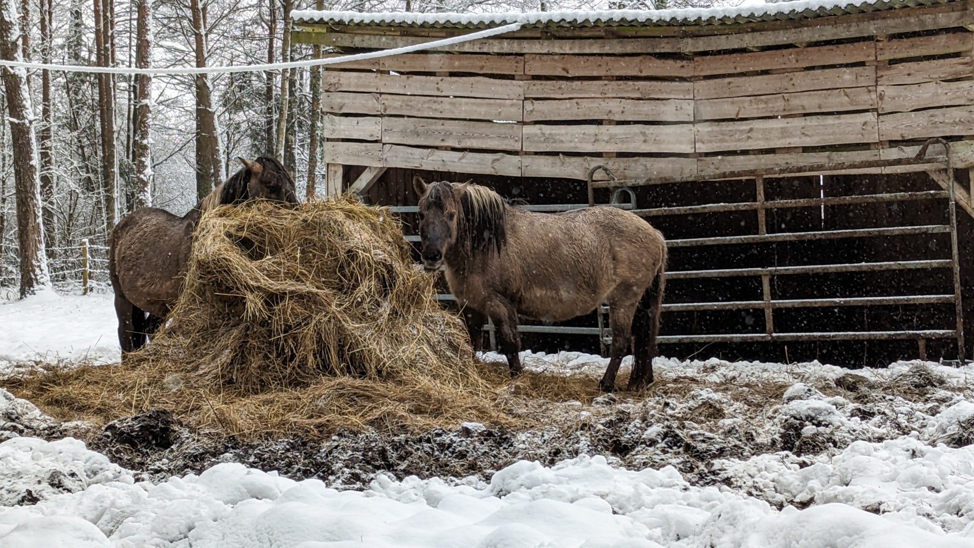 Engures dabas parks - Idejas brīvdienām