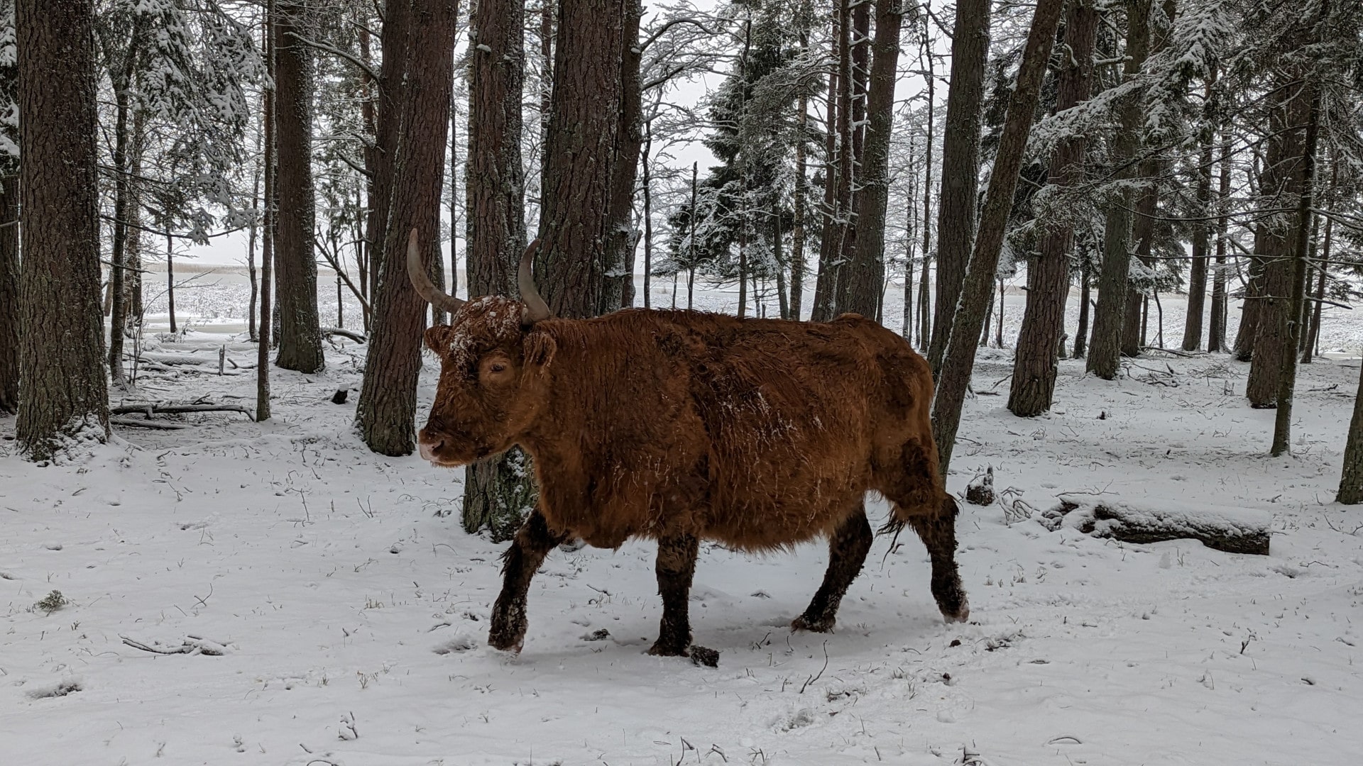 Engures dabas parks - Idejas brīvdienām