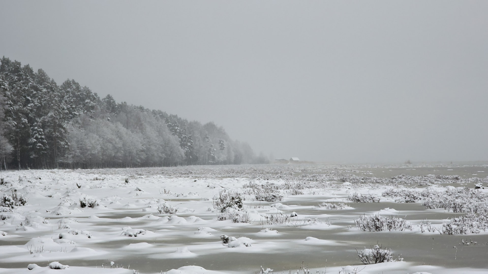 Engures dabas parks - Idejas brīvdienām