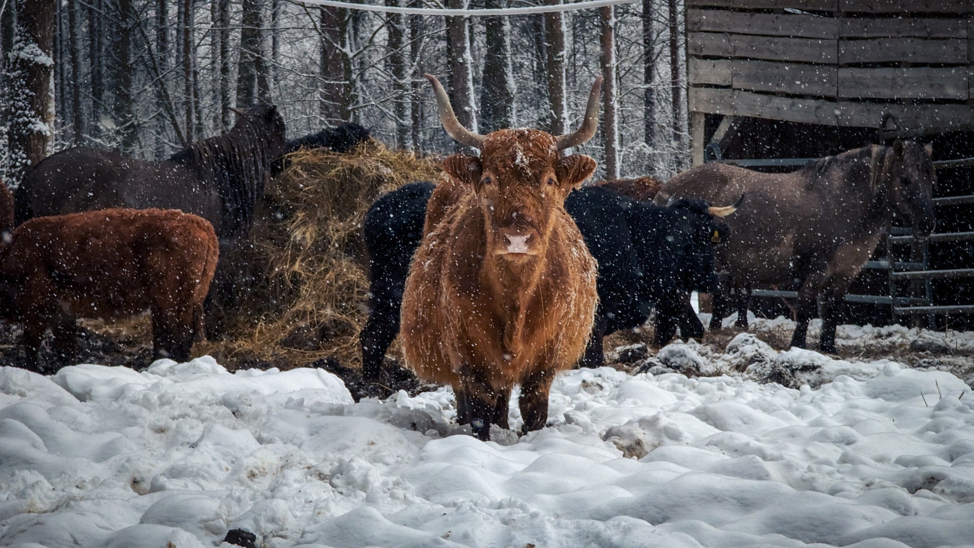 Engures dabas parks - Idejas brīvdienām
