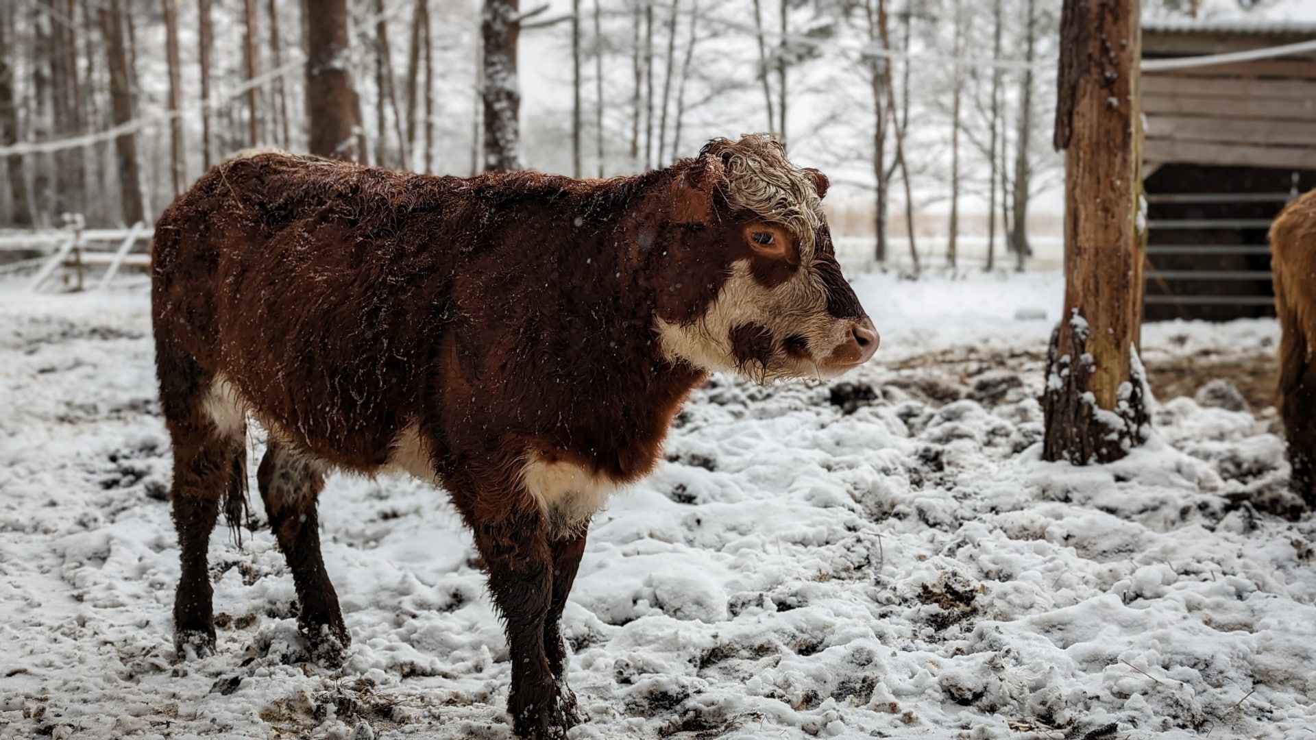 Engures dabas parks - Idejas brīvdienām