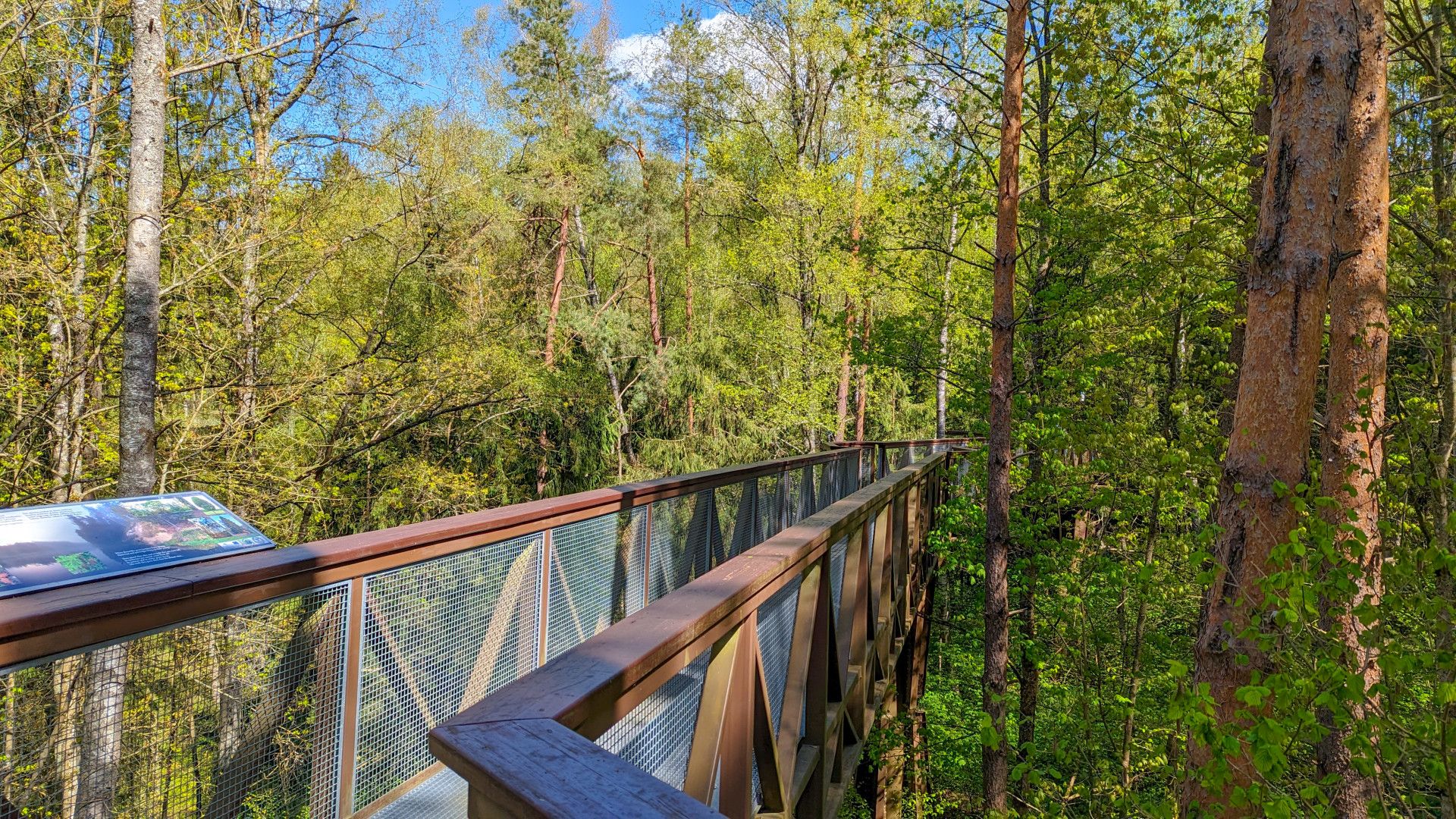 Pastaigu taka koku galotnēs (Medžių lajų takas) - Idejas brīvdienām