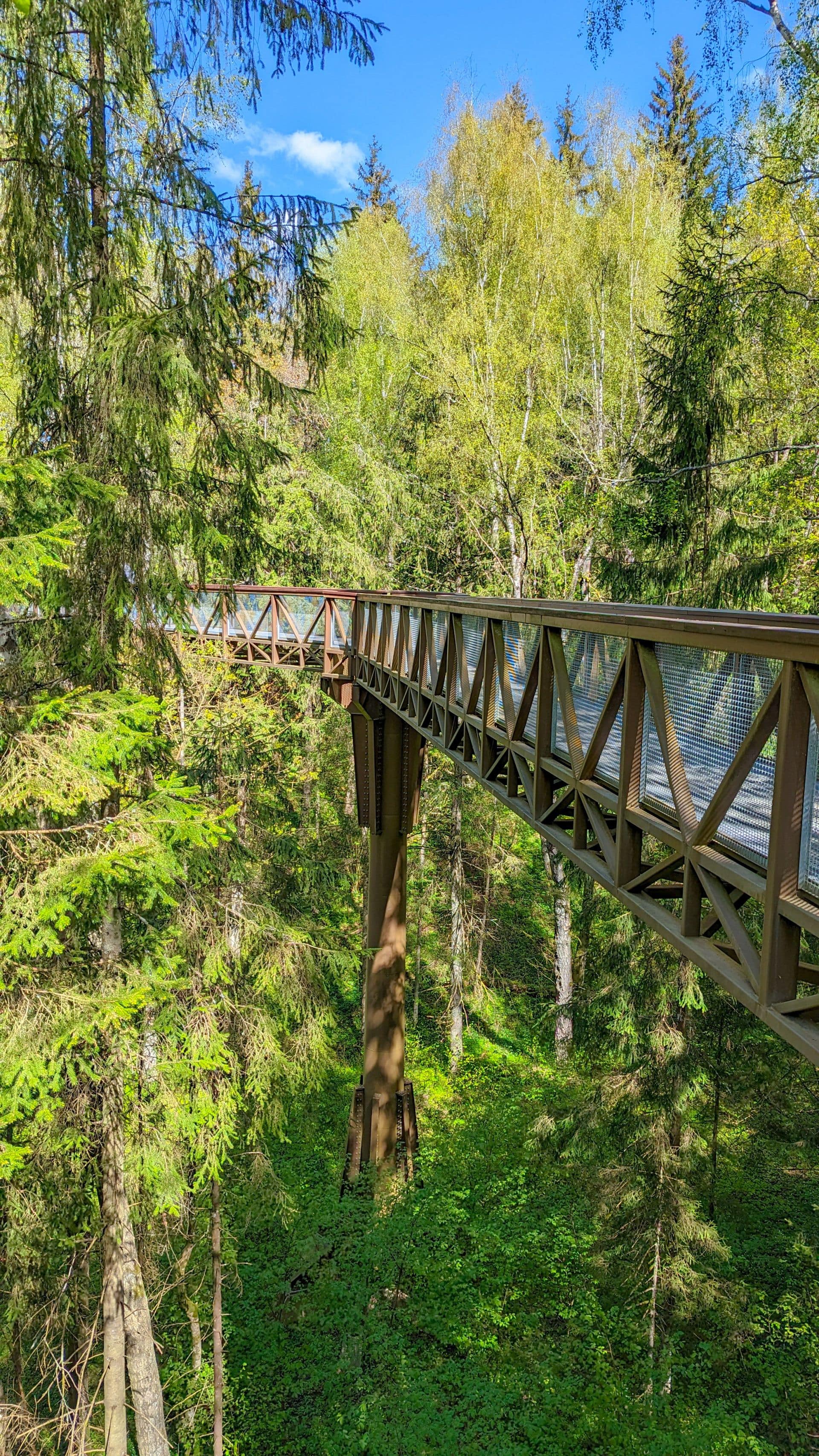 Pastaigu taka koku galotnēs (Medžių lajų takas) - Idejas brīvdienām