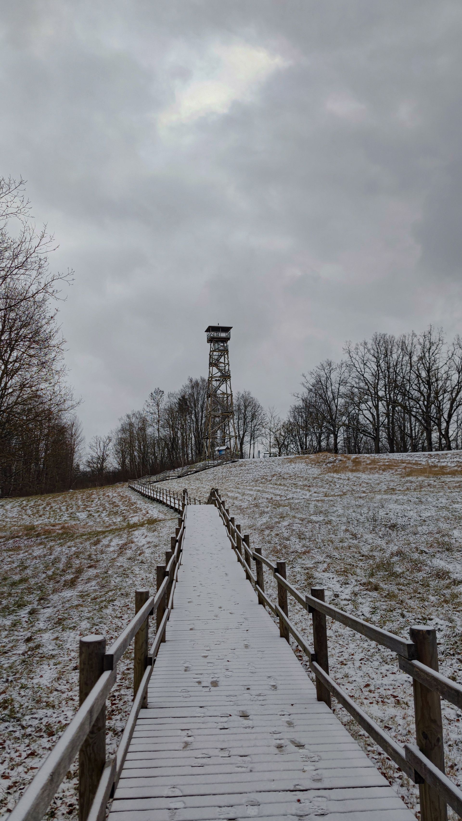 Dullā Daukas birzs un Meņģeļu skatu tornis - Idejas brīvdienām