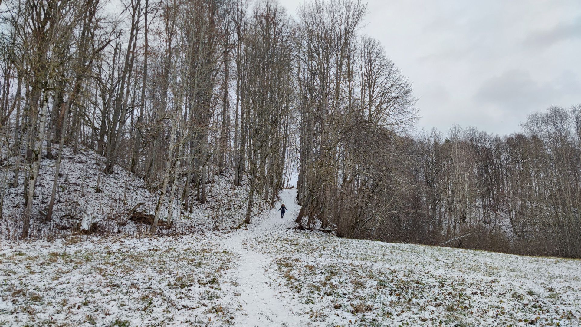 Dullā Daukas birzs un Meņģeļu skatu tornis - Idejas brīvdienām