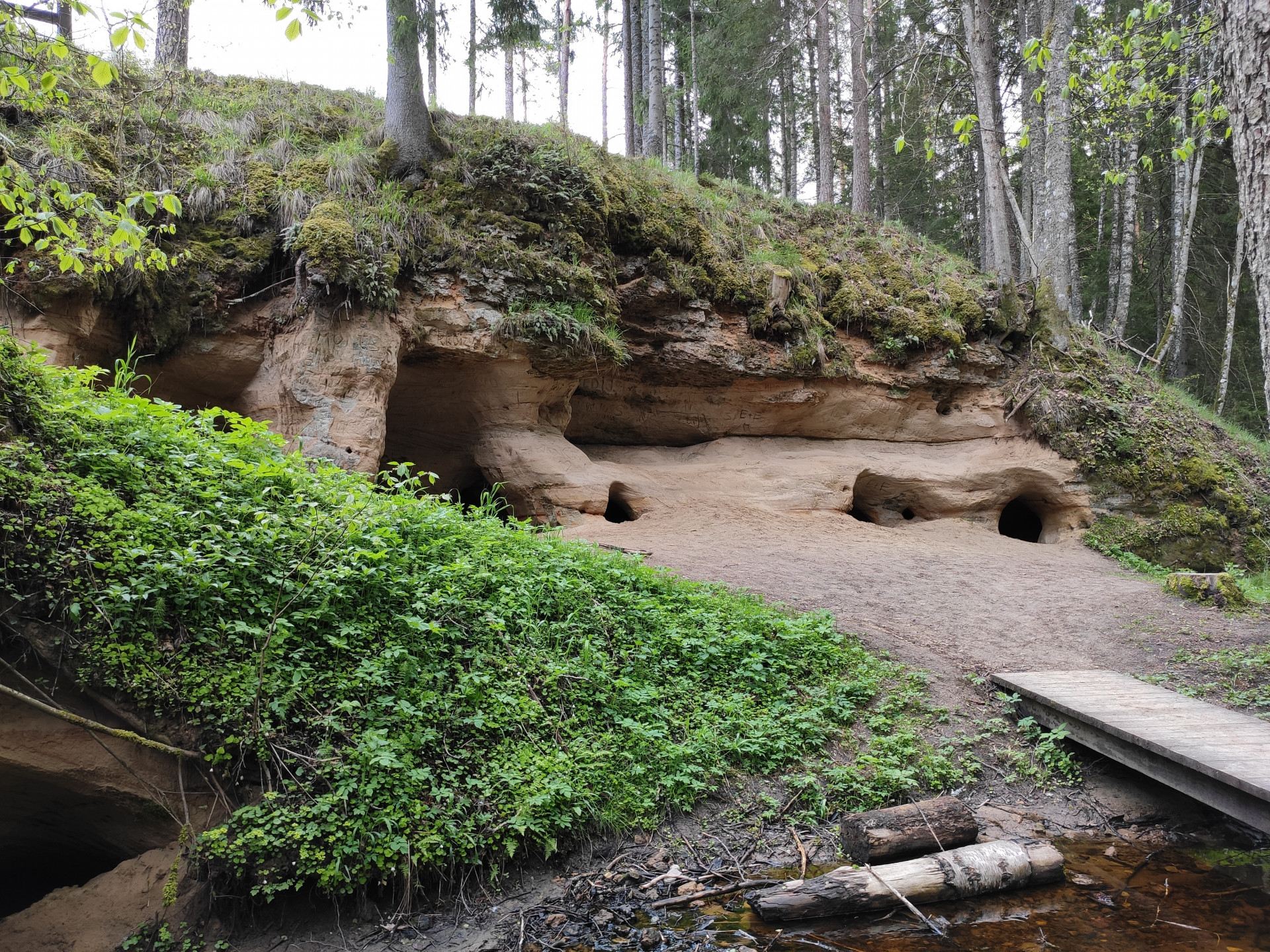 Liepniekvalka alas - peldangas labirints - Idejas brīvdienām